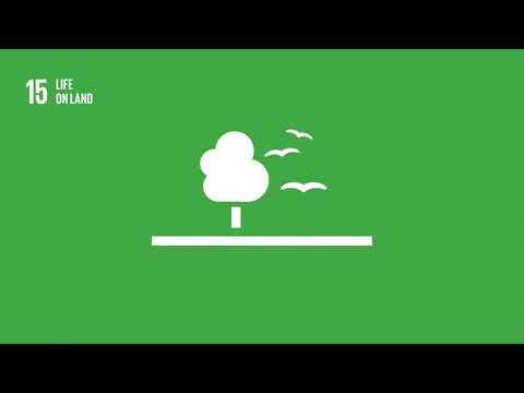 8 Millennium Development Goals What We Met And Missed