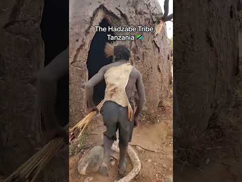 The Hadzabe Tribe, Tanzania 🇹🇿