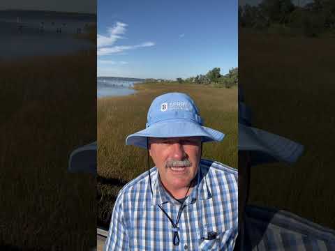 Are salt marshes beneficial? #ProfConn reports from coastal Mississippi.