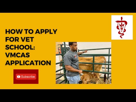 How to Apply to Vet School: VMCAS Application