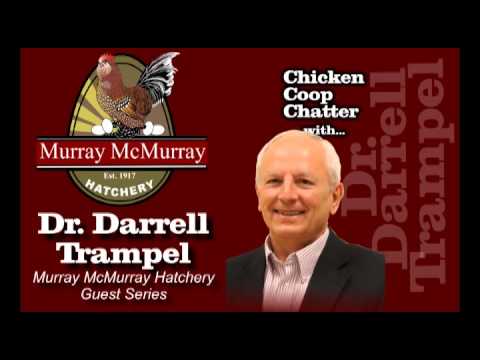 Dr. Darrell Trampel Phone Interview