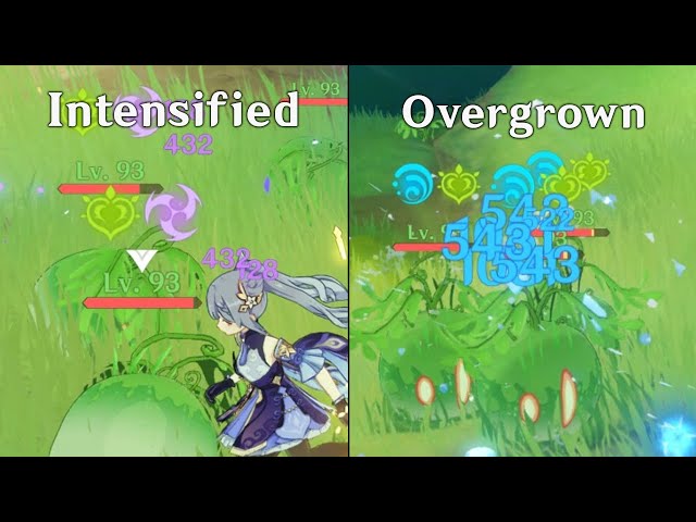 Genshin Impact leaks confirm new Dendro reactions details