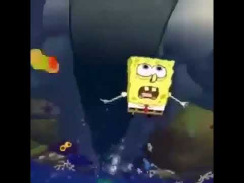 A message from SpongeBob