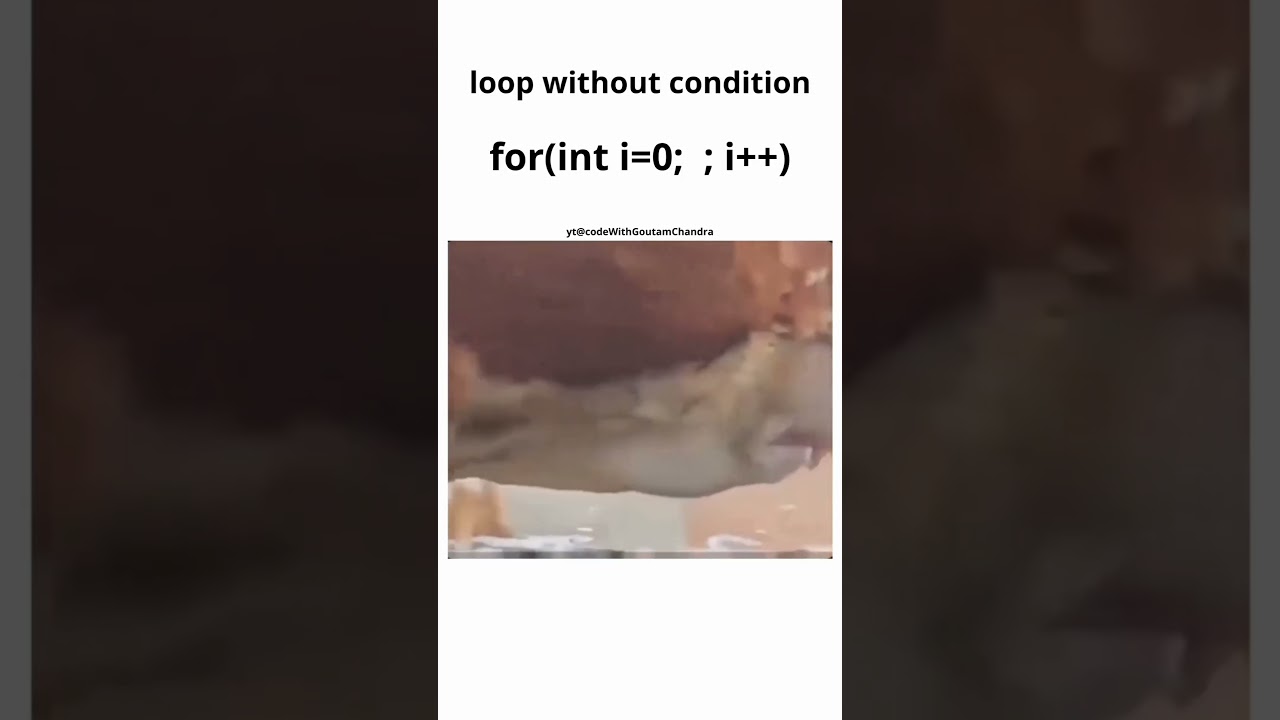 Loop without condition #coding #memes
