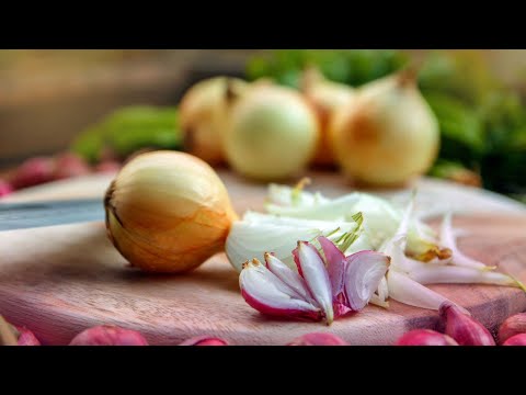Onions vs Shallots - What is the Difference?