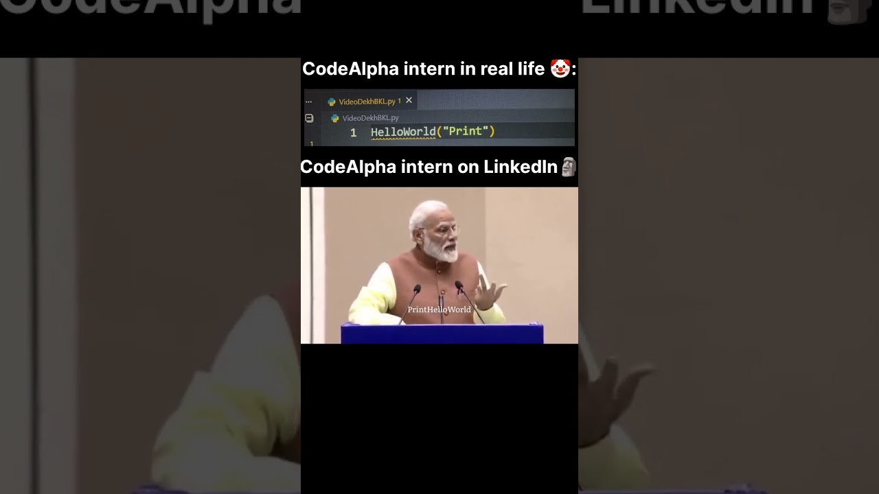 CodeAlpha Intern in Real Life vs LinkedIn 😭🗿 #codealpha
