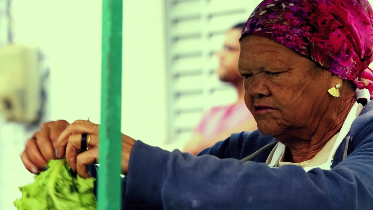 Documentário Conviver