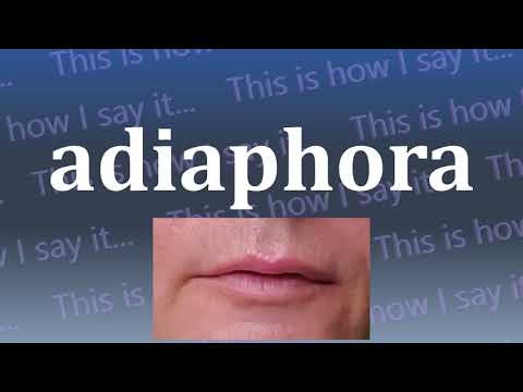 This is How I Say...adiaphora