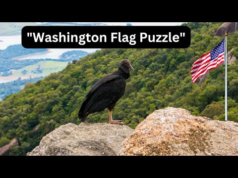 "Washington Flag Puzzle" #country's flag99!