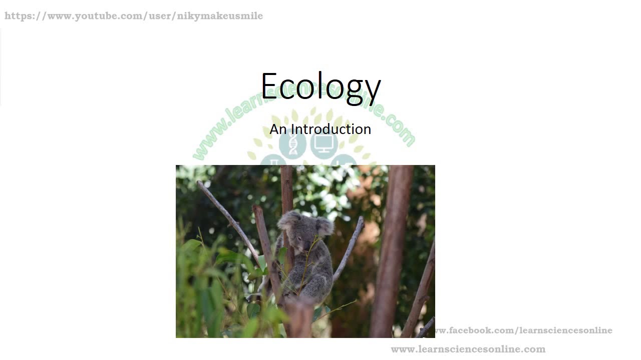 Power point presentation ppt on Ecology