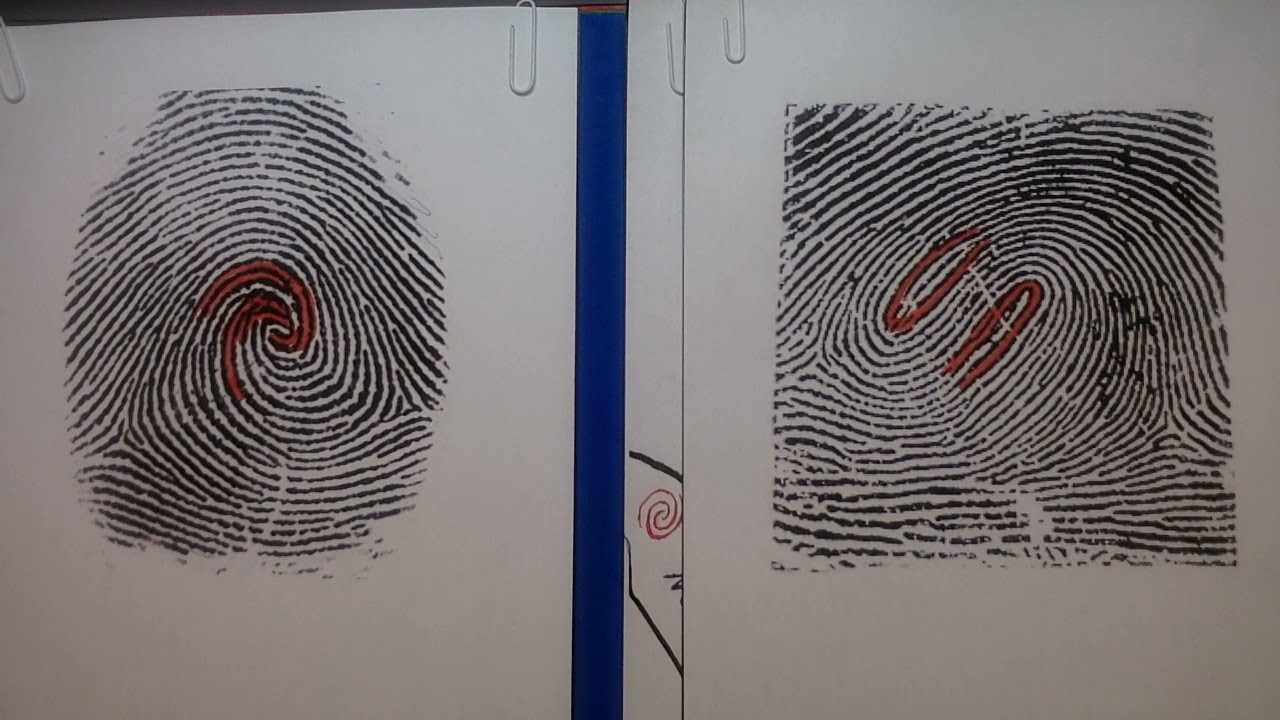 204 VARIATIONS OF PRINT PATTERNS. THE COMPOSITE LOOP?