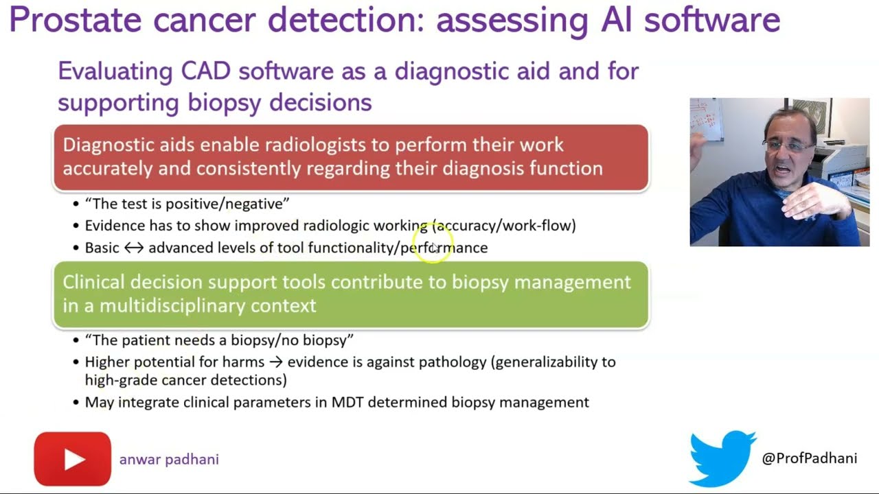 Prostate cancer detection: assessing artificial intelligence (AI) software