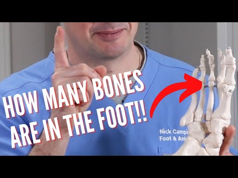 How many bones are in the foot? | Dr. Nick Campitelli #shorts