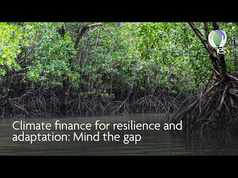 Climate finance for resilience and adaptation: Mind the gap