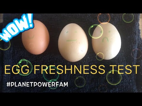 Egg Freshness Test/Are my eggs still fresh