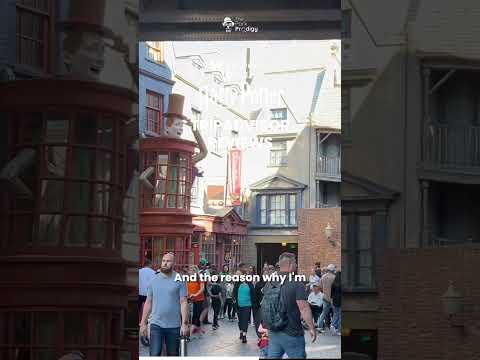 Is the Wizarding World of Harry Potter Worth it? - Part 2 #universalparksandresorts