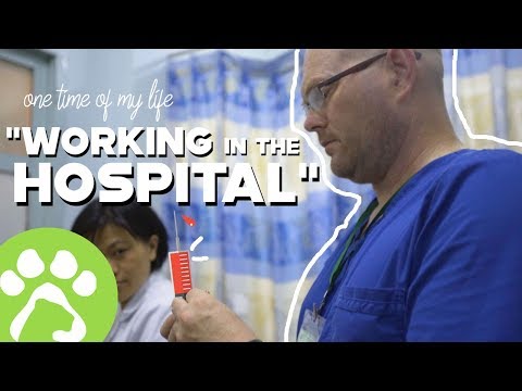 Medical Placement in Ho Chi Minh