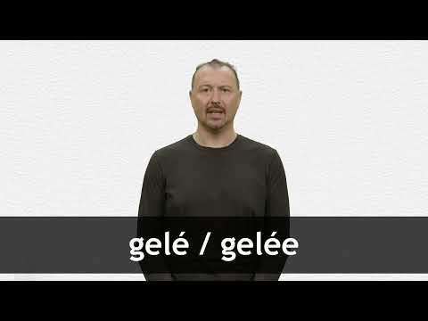 How to pronounce GELÉ / GELÉE in French