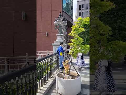 IS IT TRUE JAPAN IS CLEAN?