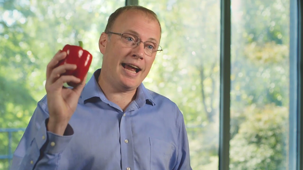 Understanding Plant Breeding | Bayer