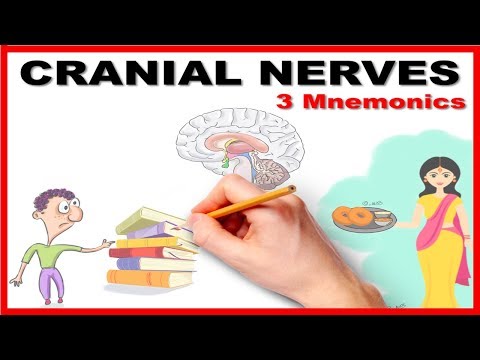 Cranial Nerves : Mnemonic series # 26