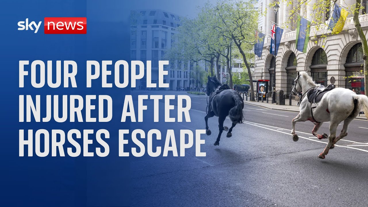 Runaway Horses Blaze Through London | HORSE NATION