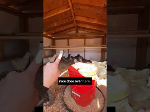 Chicken Coop Build Essentials