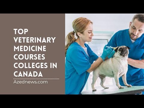 Top Veterinary Medicine courses Colleges in Canada