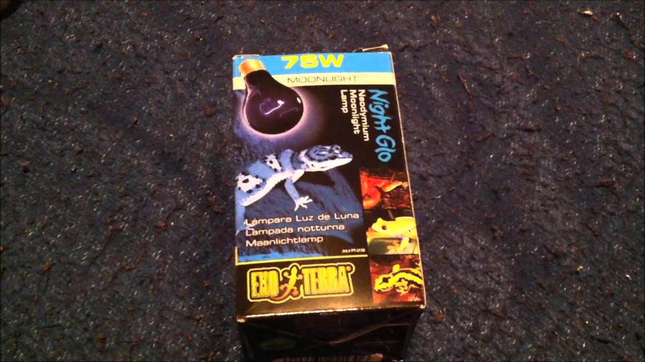 Product Review: Exo Terra Night Glo Neodymium Moonlight Lamp