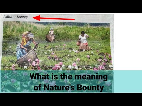 Bounty Meaning in Hindi from the Hindu newspaper