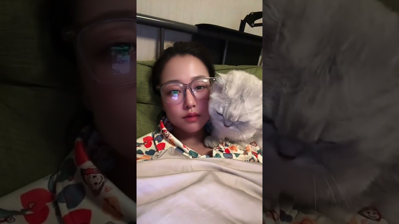 Cute Pet Debut: My Clingy Cat's Silver Gradient Adventure