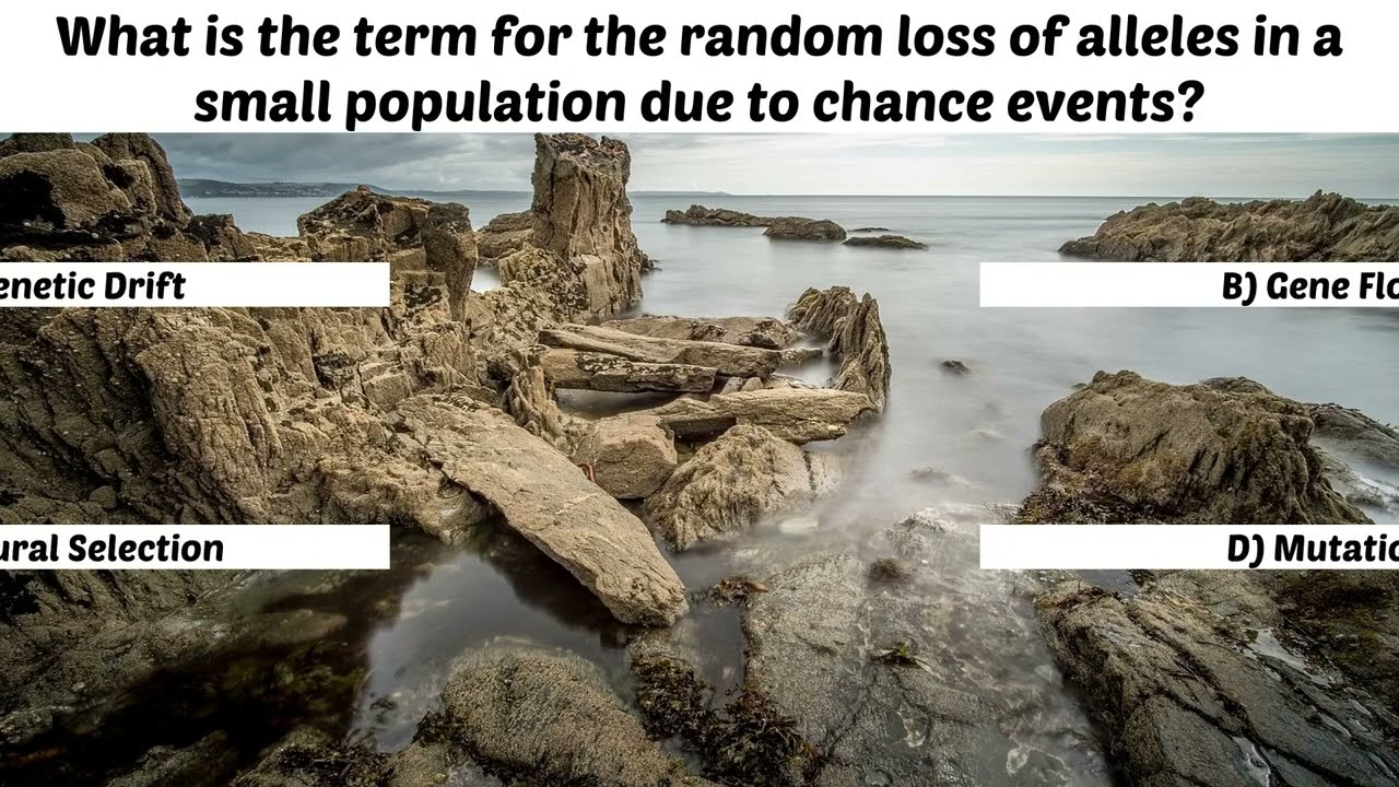 Evolution Quiz That Will Make You Ready for Your Next Biology Exam