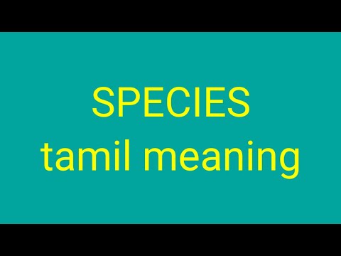 SPECIES tamil meaning/sasikumar