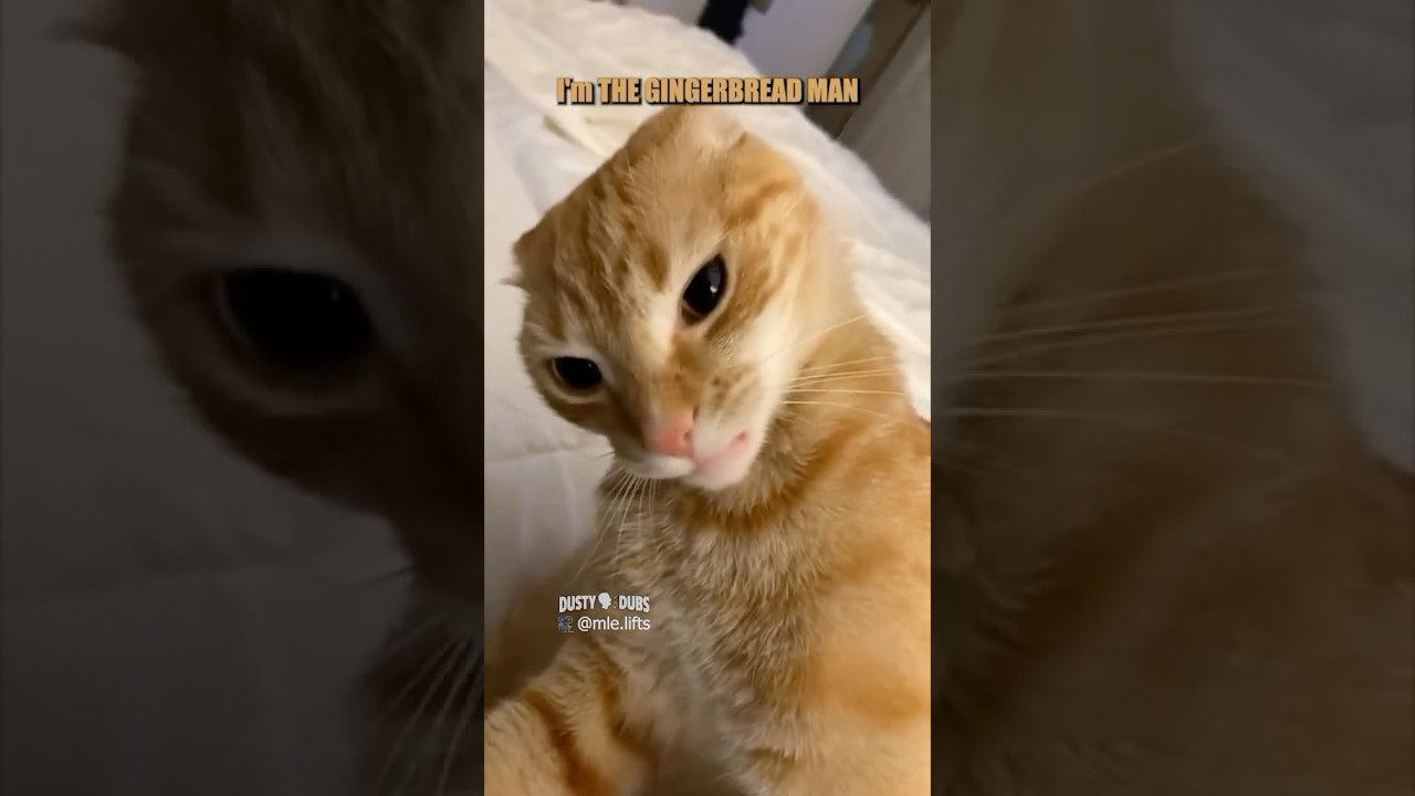 👹The Gingerbread Man 🎥: Voiced Over with Permission from Emily Alsup (mle.lifts on IG) #shorts