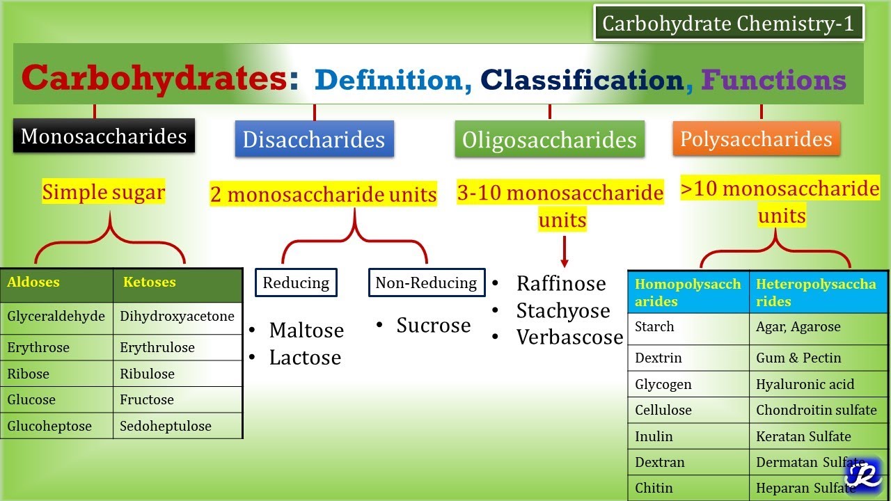 Carbohydrate Definition Classification Examples