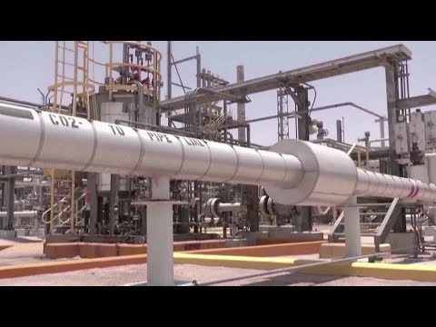 Saudi Arabia to raise $11 billion in Aramco share sale | REUTERS