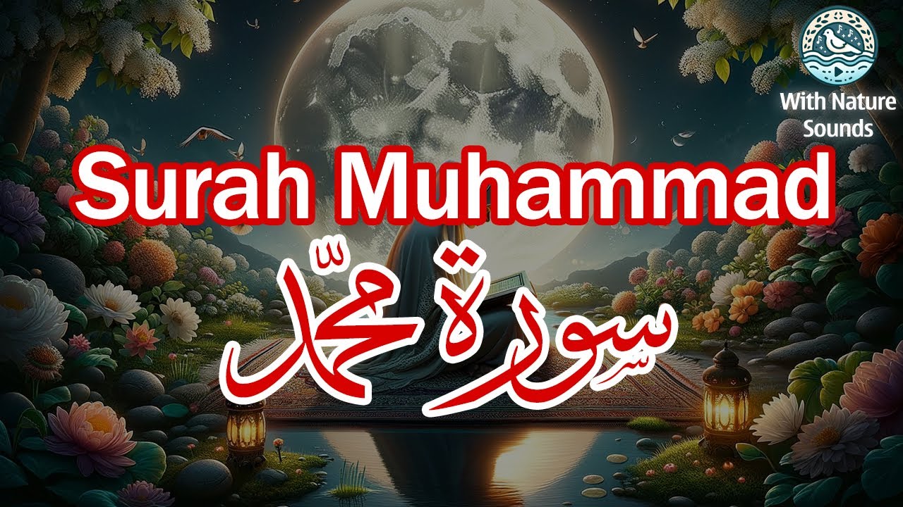 Soft Calming Quran Recitation of Surah Muhammad سورة محمد