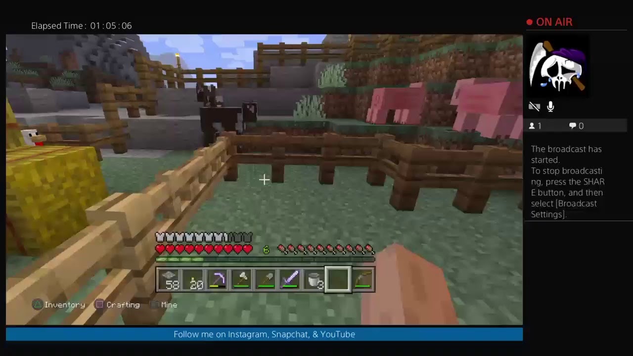 Minecraft chill stream 12
