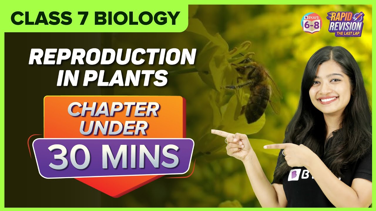 Understanding Plant Reproduction: A Comprehensive Summary for Class 7 ...