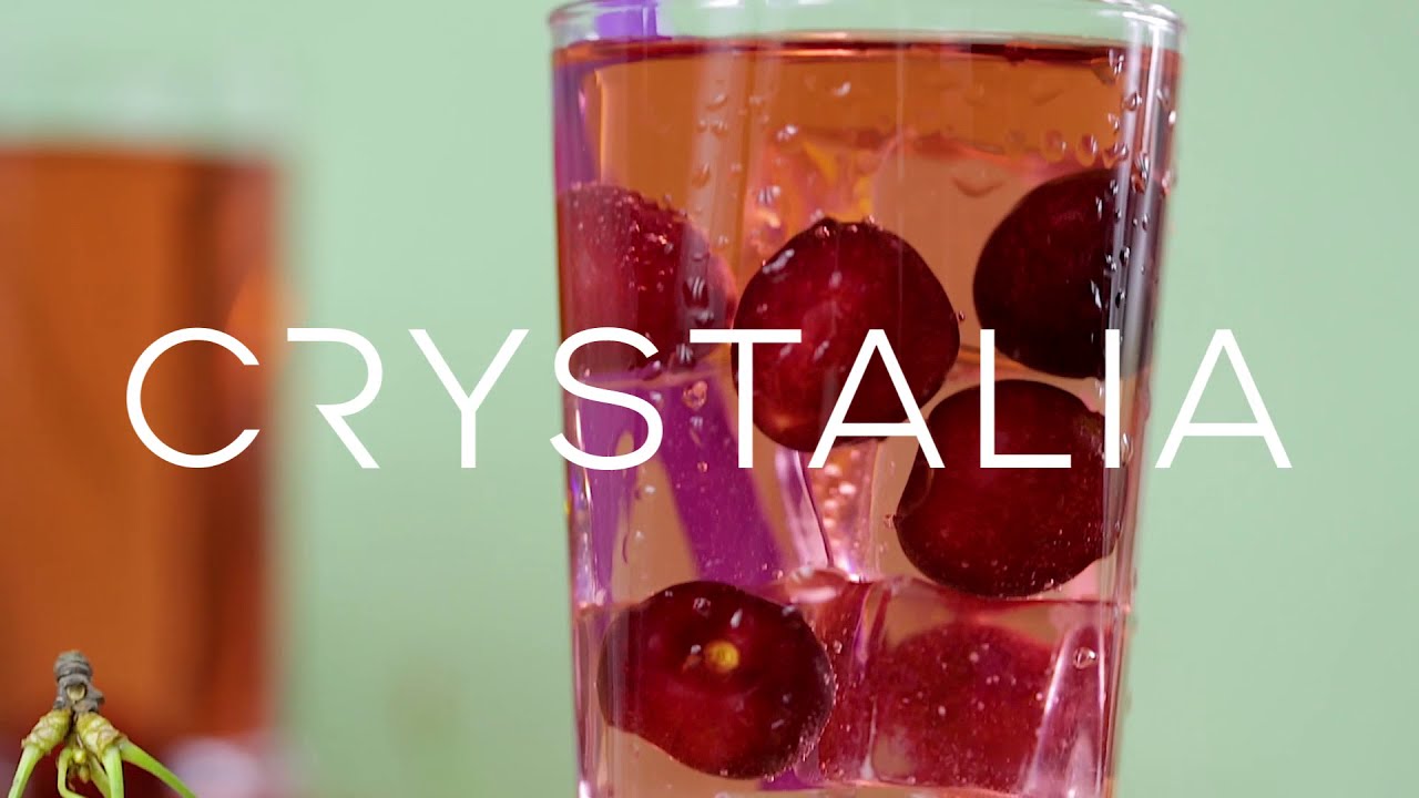 Crystalia Square Shaped Highball Glasses for Water, Juice, Wine, Beer, Whiskey
