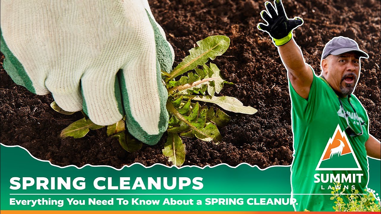 Spring Cleanup | Summit Lawns Service Description