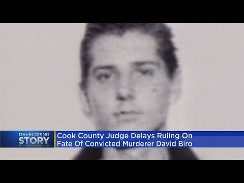 Cook County judge delays ruling on fate of convicted killer David Biro