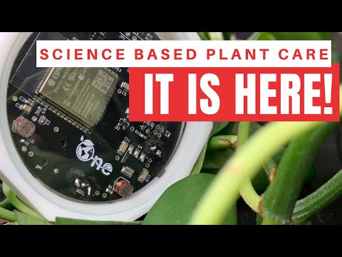 Plant Sensor Beta Launch 🚀 The Earth One Plant Sensor Has Arrived.