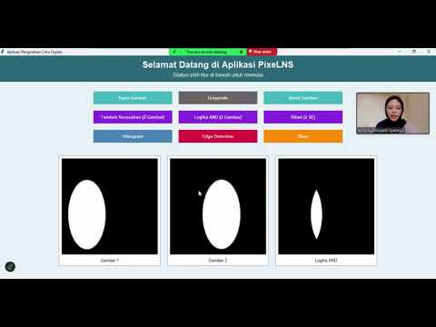 Aplikasi Pengolahan Citra Digital - PixeLNS
