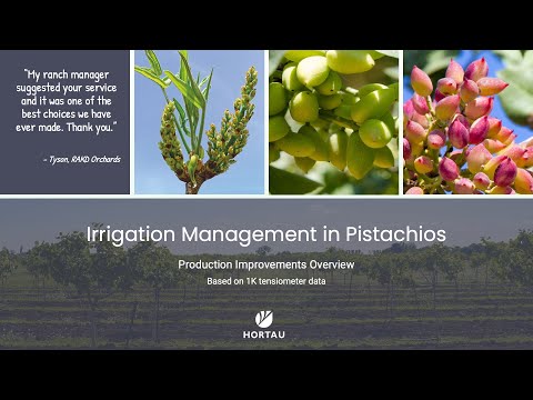 Advanced Irrigation Management in Pistachios