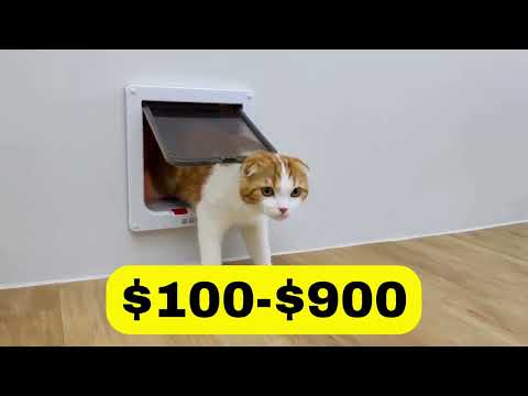 How Much Does It Cost To Own a Cat in 2024 | Clever Cat Corner