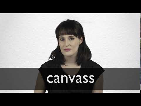 CANVASS definition in American English | Collins English Dictionary