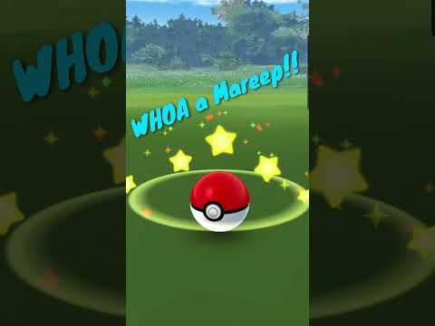 whoa a Mareep!!🤩🤩 #gaming #pokemongo #phonegames