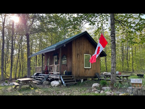 Off grid cabin in the woods. Quick tour