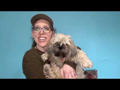 10 Where Oh Where Has My Little Dog Gone? A Nursery Rhyme w/ Miss Lori & Reese's the Lhasa Apso Dog.